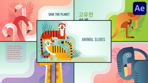 Animal Slides for After Effects | ThemeNPlugin.city | Unlimited ...